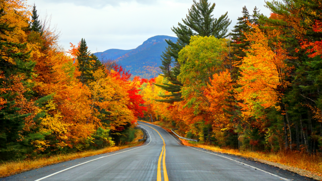 Scenic Drives: Explore the White Mountains by Car - The Wentworth Inn