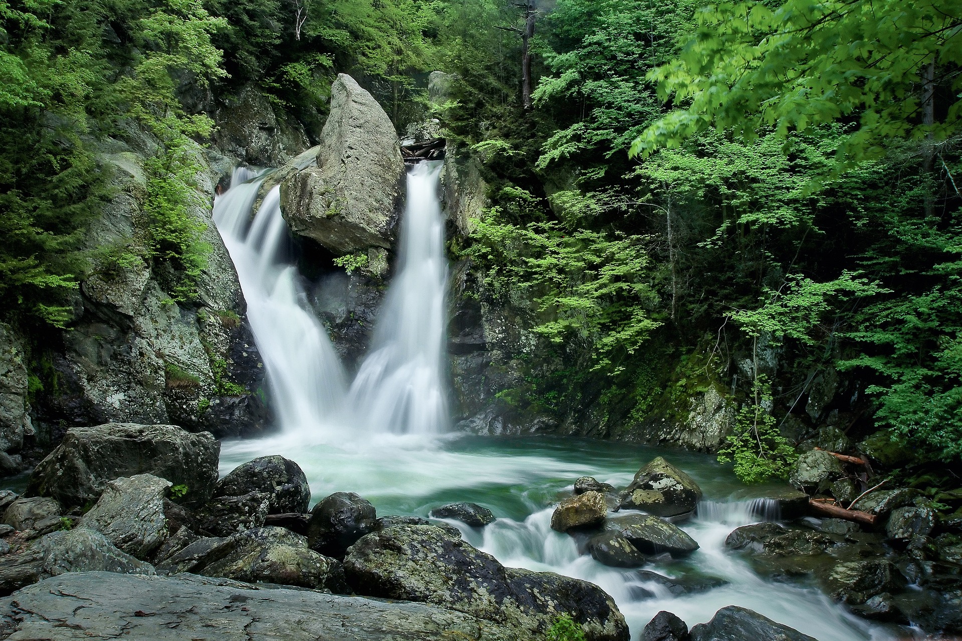 The Beauty of Spring: Top Activities in the White Mountains